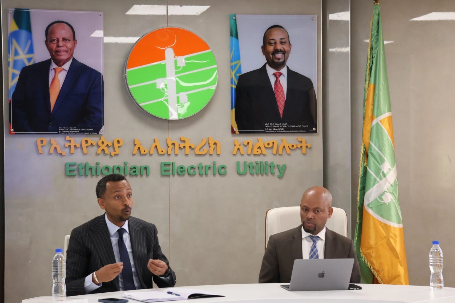 EIH appoints new CEO to Ethiopian Electric Utility – Ethiopian ...